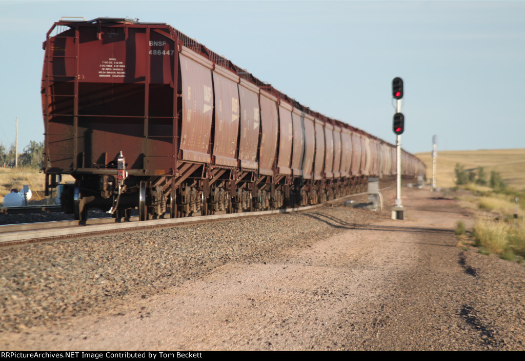 Rear end of a grain train